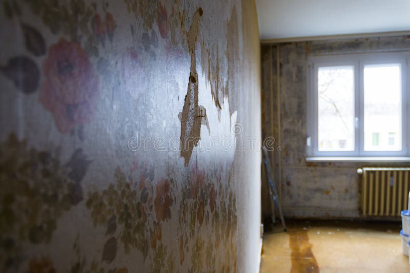 123 Torn Hall Stock Photos - Free & Royalty-Free Stock Photos from ...