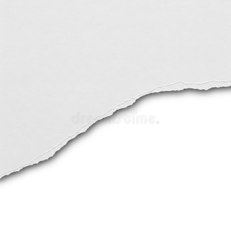 Torn White Paper with a Rough Edge Stock Illustration - Illustration of ...