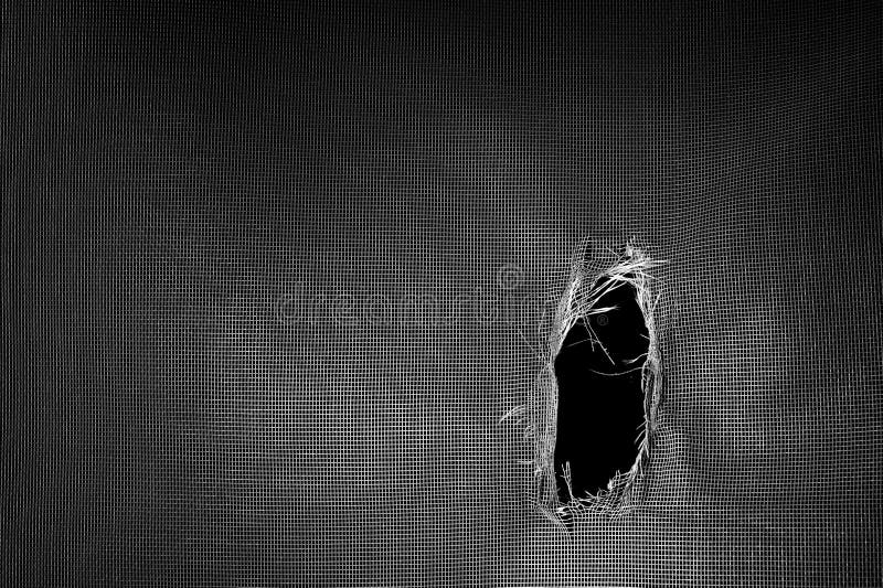 Torn window screen stock photo. Image of ripped, protection - 27405132