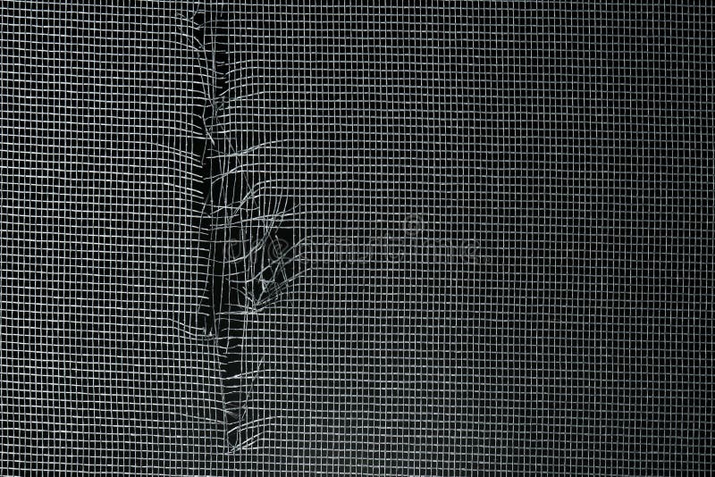 131 Repair Torn Screen Stock Photos - Free & Royalty-Free Stock Photos ...