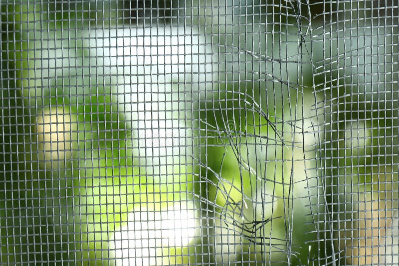 183 Hole Mesh Window Screen Stock Photos - Free & Royalty-Free Stock ...