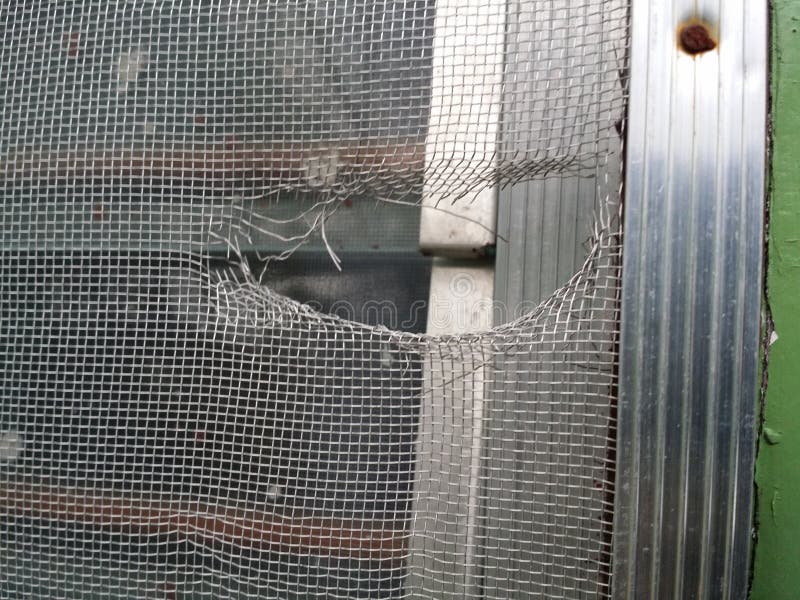 Torn window screen stock photo. Image of ripped, protection - 27405132