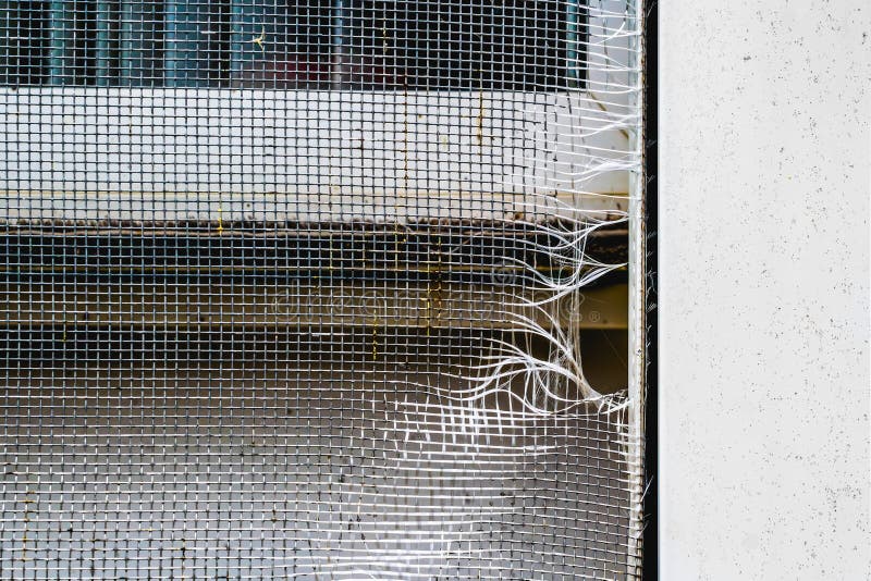 105 Torn Window Screen Stock Photos - Free & Royalty-Free Stock Photos ...
