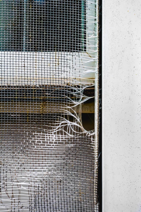 125 Torn Window Screen Stock Photos - Free & Royalty-Free Stock Photos ...