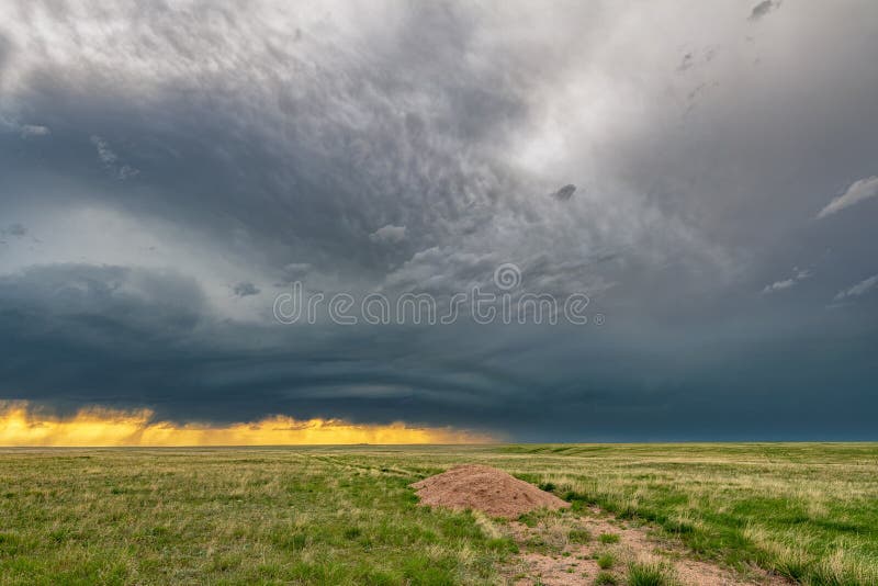 Tornadic Cell Over Grassy Field Stock Image - Image of fierce, nature ...