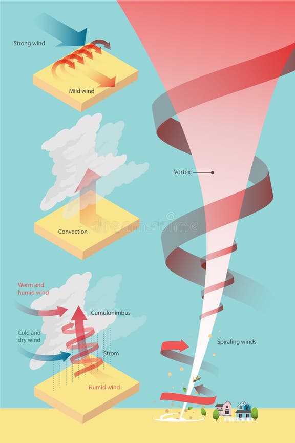Tornado Damage How Do Tornadoes Form Stock Vector - Illustration of ...