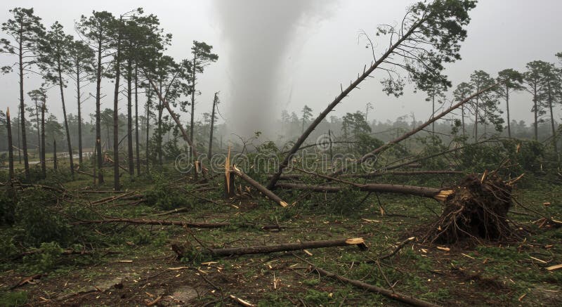 Tornado Damage after Powerful Storm with Destroyed Trees and Cloudy Sky ...