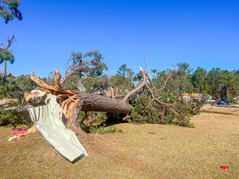 448 Tree Damage To Home Stock Photos - Free & Royalty-Free Stock Photos ...