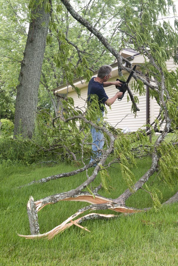 Tornado Wind Storm Damage, Man Chainsaw Downed Tree Stock Photo - Image ...