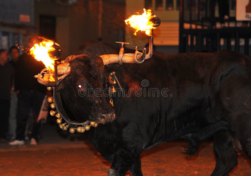 Toro immagine stock editoriale. Immagine di feroce, corni - 105658939