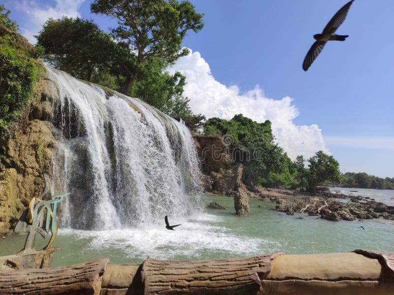 Toroan Waterfall in Estuary To Java Sea Stock Photo - Image of estuary ...