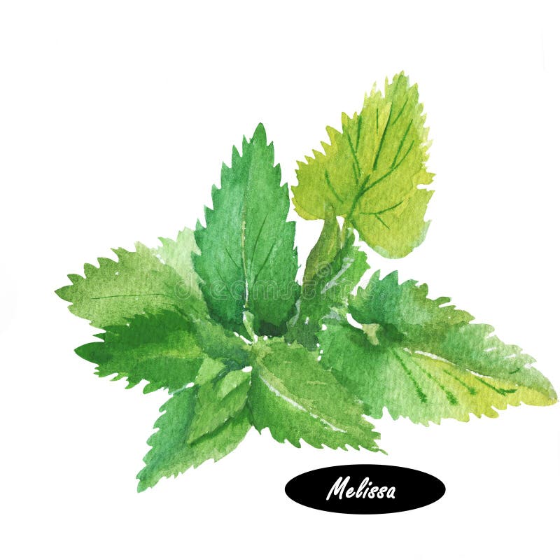 Roman Chernyshev (Ariydesign) - Photographer profile