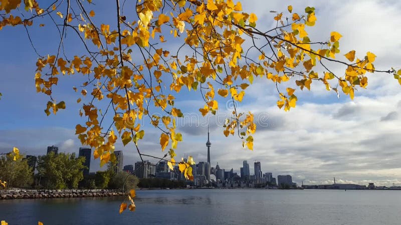 Toronto Autumn stock footage. Video of city, waterfront - 101981186