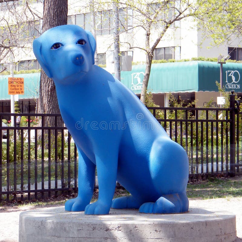 Toronto blue dog 2010 editorial stock image. Image of yard - 80050409