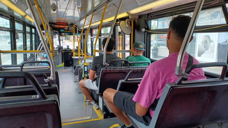 TTC bus inside view editorial stock image. Image of tourism - 286476439