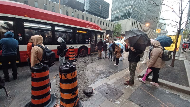 Ttc Subway Shuttle Bus Stock Photos - Free & Royalty-Free Stock Photos ...