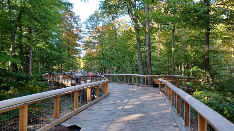 Toronto Zoo inside view editorial photography. Image of nature - 292293067