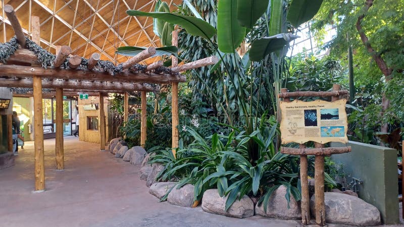 Toronto Zoo inside view editorial photo. Image of front - 292293086