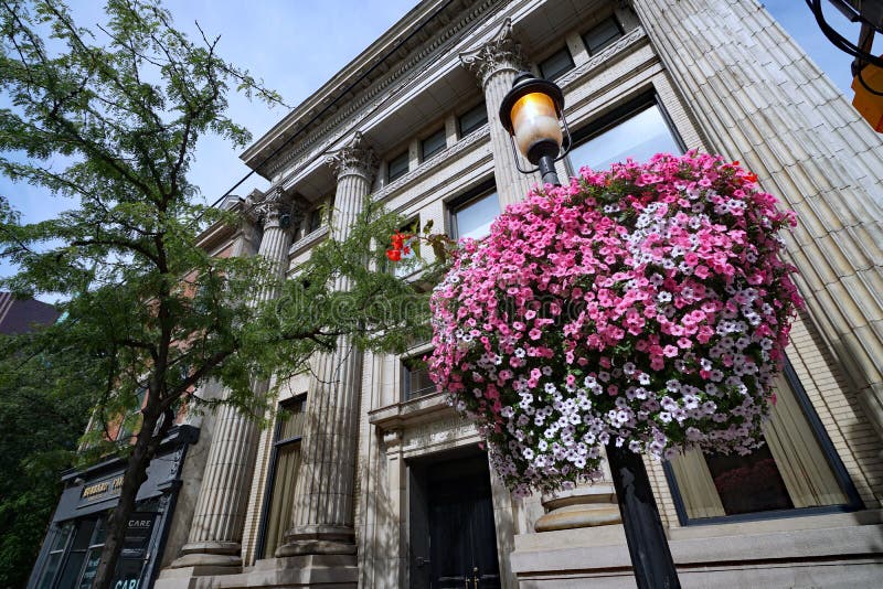 Old bank building stock image. Image of classical, column - 20898251