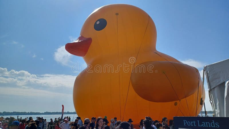 World S Largest Rubber Duck in Toronto Editorial Photography - Image of ...