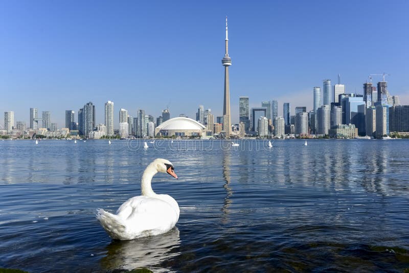 Toronto City Skyline, Ontario, Canada Editorial Photo - Image of blue ...