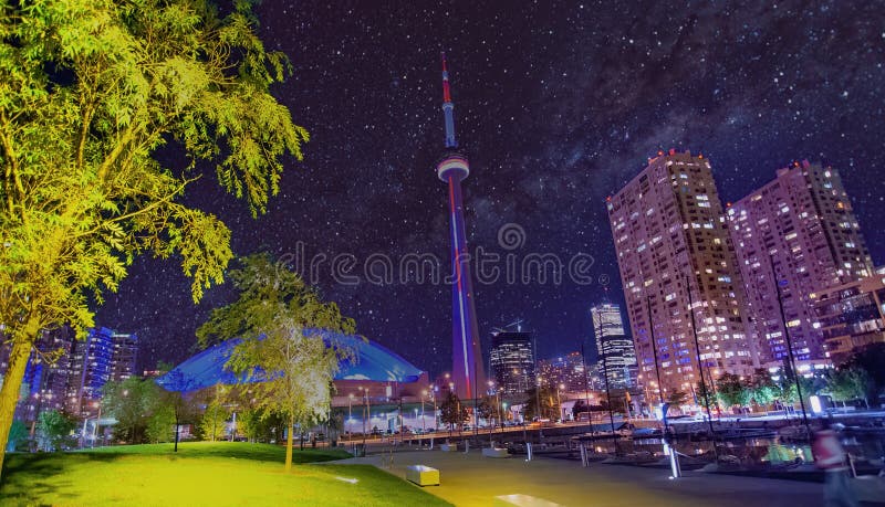 Toronto City Skyline from the Waterfront Park on a Beautiful Starry ...