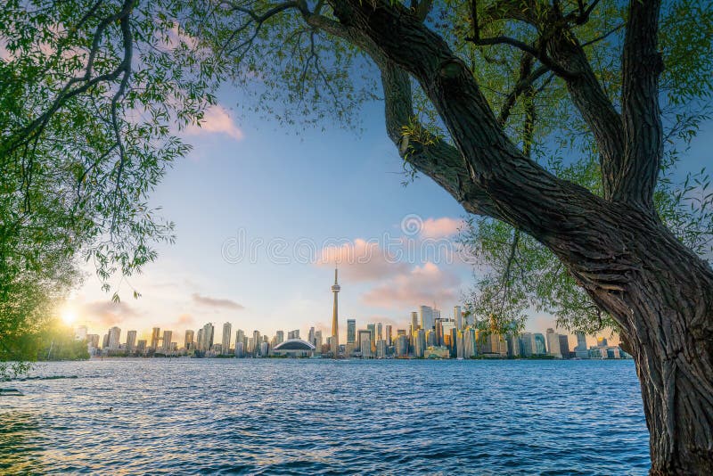 Toronto Downtown City Skyline. Cityscape of Canada Stock Image - Image ...