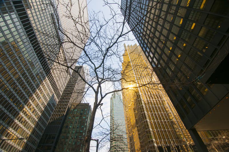 Toronto Financial Buildings Stock Photo - Image of corporate, bank ...