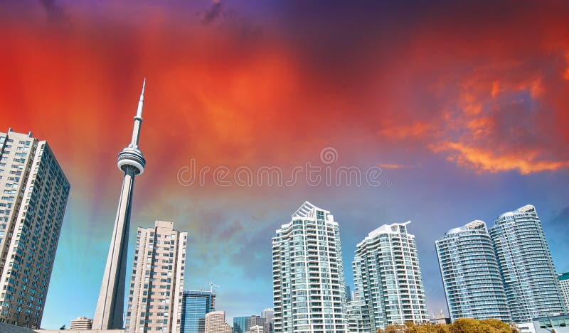 Toronto Harbourfront Centre. Sunset View in Summer Season Editorial ...