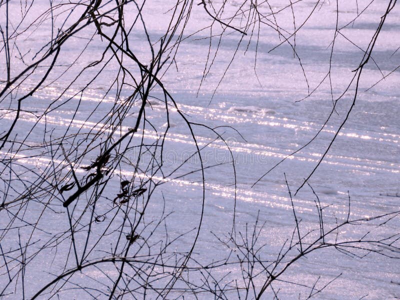 Toronto High Park the Winter Pond February 2017 Stock Photo - Image of ...