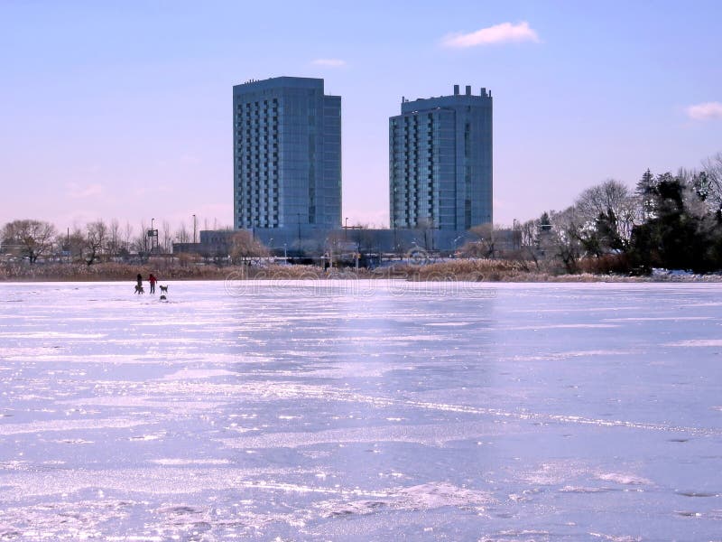 Toronto High Park Winter Pond February 2017 Stock Image - Image of ...