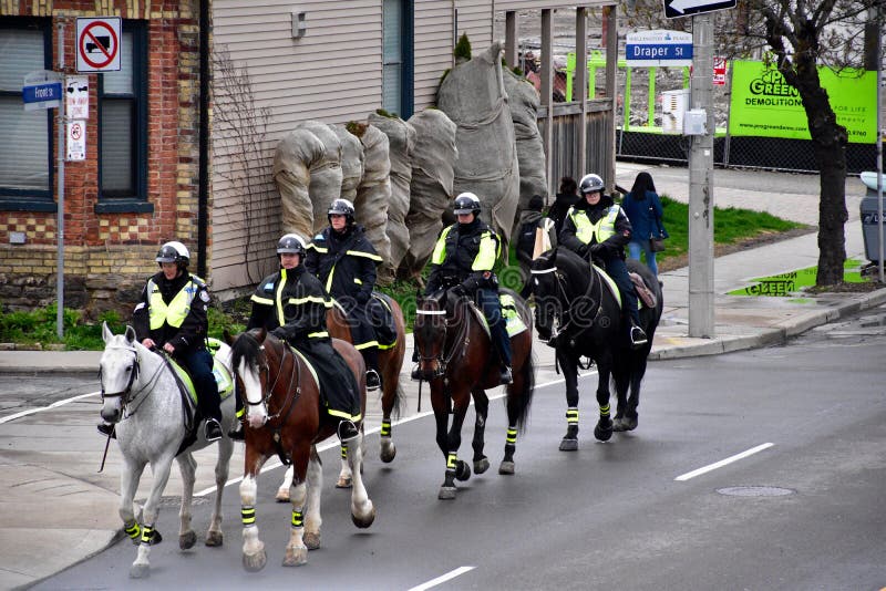 Toronto Mounted Police Officers Editorial Stock Image - Image of ... Toronto Mounted Police Officers Editorial Stock Image - Image of ...