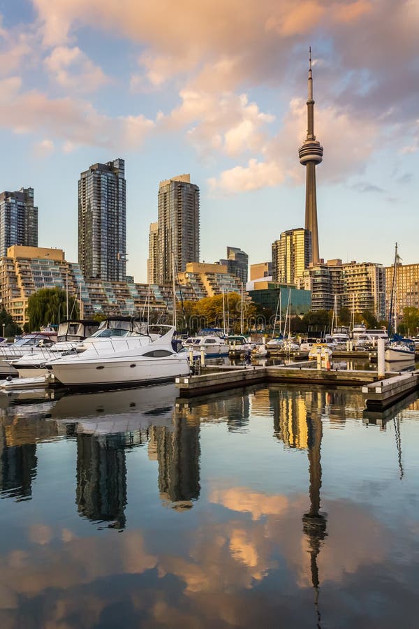 Toronto Port Lands stock photo. Image of summer, tall - 11639510