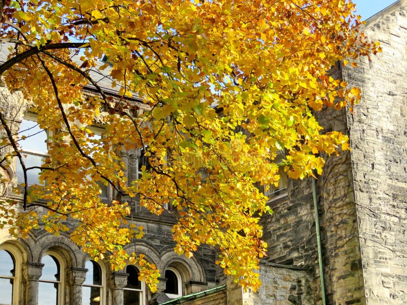Toronto University Trinity College Autumn Trees 2016 Stock Image ...