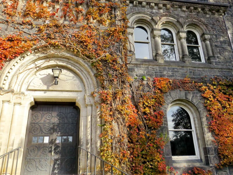 Toronto University Gerstein Centre Windows 2016 Stock Photo - Image of ...
