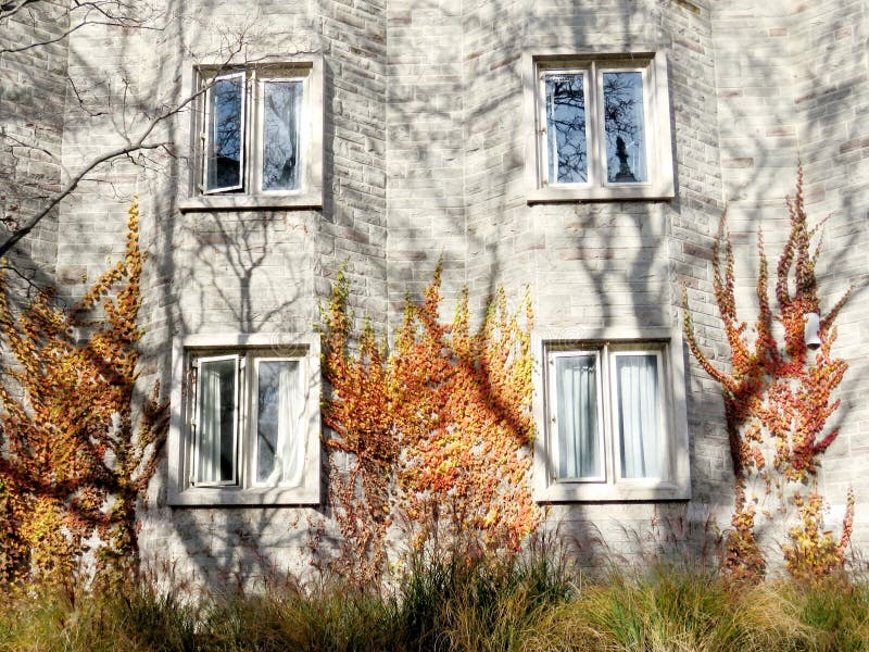 Toronto University Trinity College Autumn 2016 Stock Photo - Image of ...