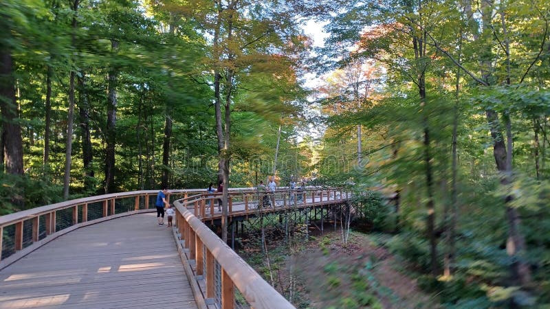 Toronto Zoo inside view editorial photo. Image of animals - 292293061