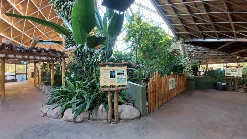Toronto Zoo inside view editorial image. Image of houseplant - 292293080