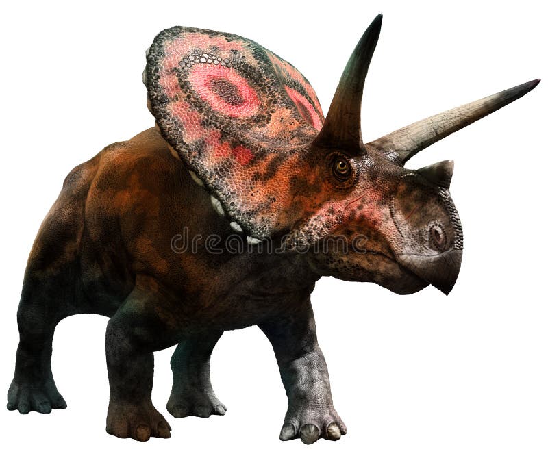 Torosaurus stock illustration. Illustration of prehistoric - 81800797
