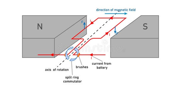 Torque on a Current Loop in a Magnetic Field. Rectangular Coil Placed ...