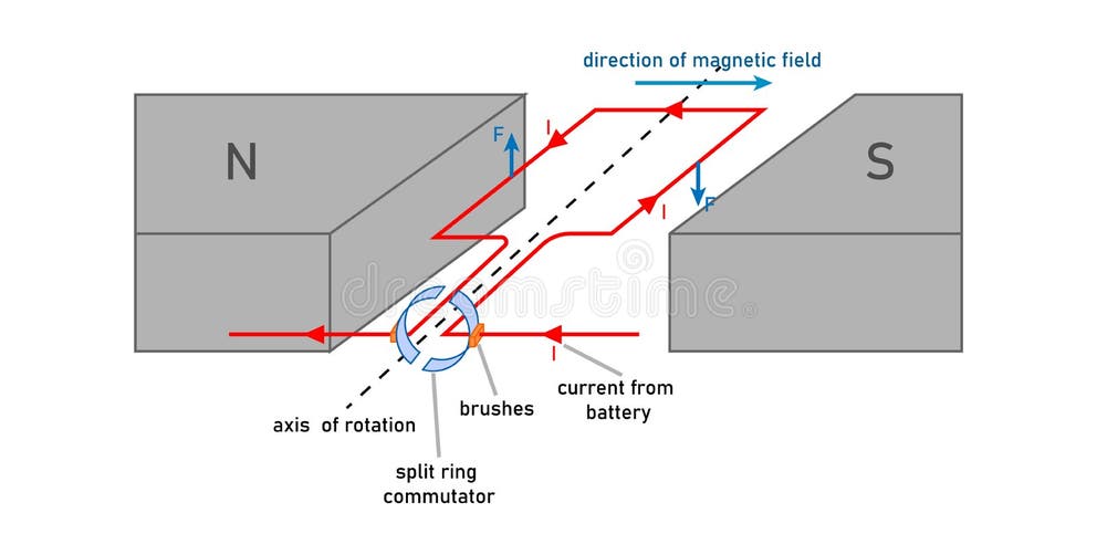 Torque on a Current Loop in a Magnetic Field. Rectangular Coil Placed ...