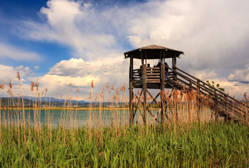 Torre Birdwatching, Río De Isonzo Fotografía editorial - Imagen de ...