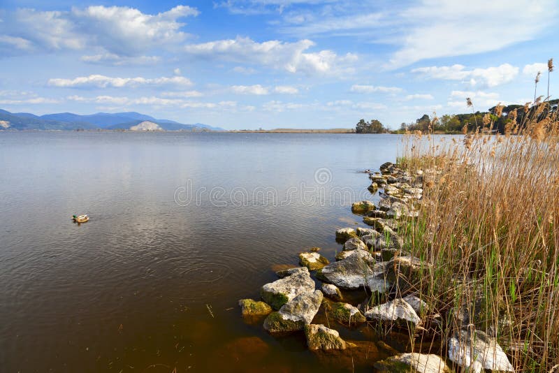 Torre del lago view stock photo. Image of europe, calm - 52836550