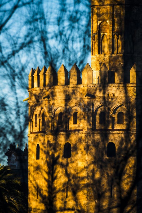 The Torre Del Oro (Tower of Gold) Behind a Bare Tree Stock Image ...