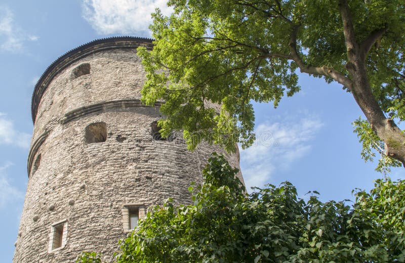 Torre medieval en Tallin imagen de archivo. Imagen de viejo - 37207493