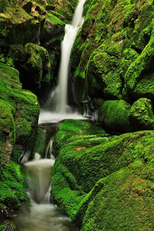 39,080 Torrent Stock Photos - Free & Royalty-Free Stock Photos from ...