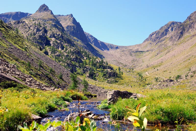 Alpine Torrent Flowing in a the Rocks Stock Image - Image of water ...