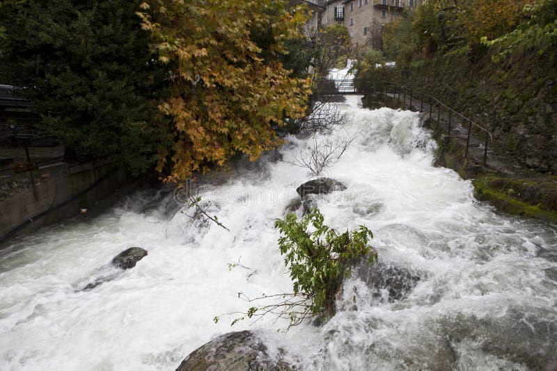 Torrente stock photo. Image of wood, trees, stream, vacation - 23688388