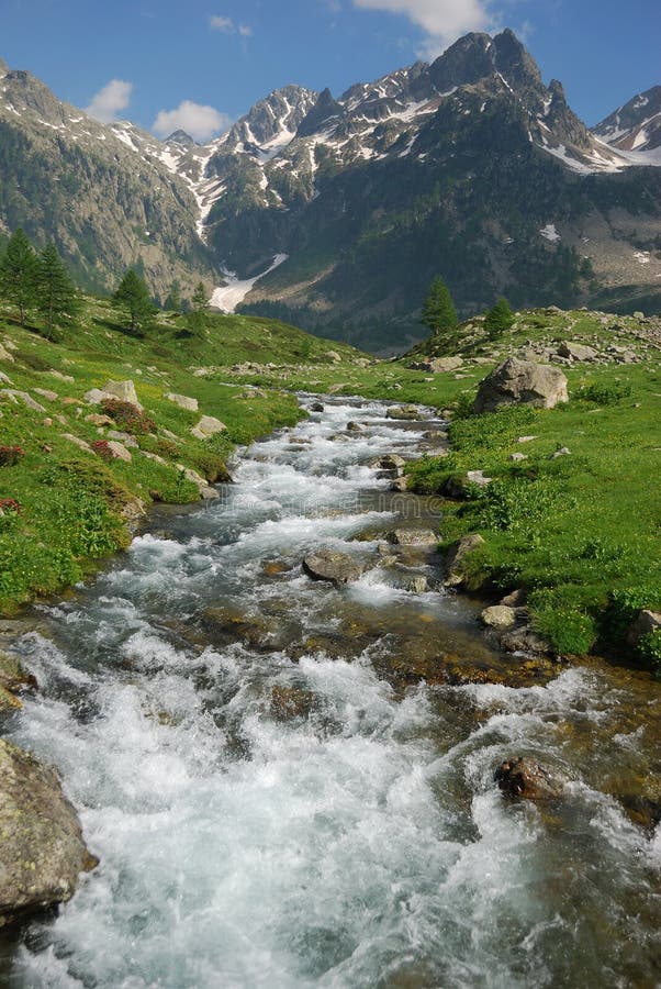 Torrente Scorrente Della Montagna Immagine Stock - Immagine di valle ...