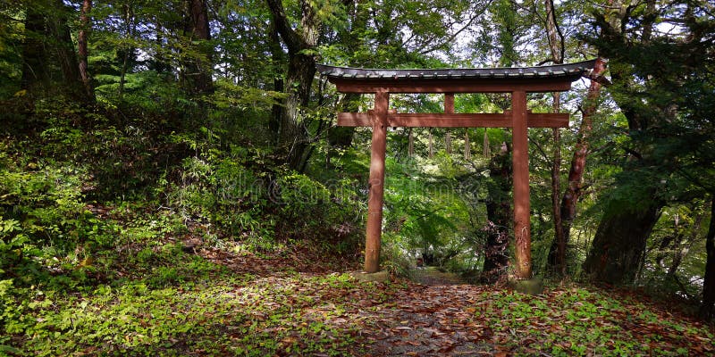 Torri Gate , in the Forest ,is an Access To a Shinto Shrine Stock Image ...